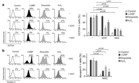 Ros Production And The Effect Of Their Inhibition Upon I Crp Treatment