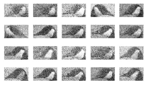 Real Time Object Detection Shell Beach