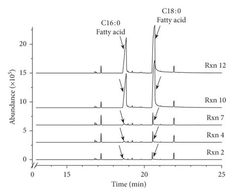 Results Of Py Gc Ms Analysis Directly On Methyl Esterified Products Download Scientific Diagram