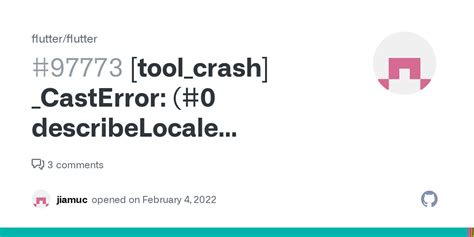 Tool Crash CastError DescribeLocale Package Flutter Tools Src Localizations