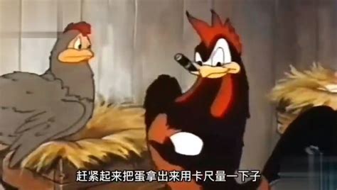东北话搞笑配音呢😂大公鸡检查母鸡下蛋的情况！看看下蛋的质量高清1080p在线观看平台腾讯视频
