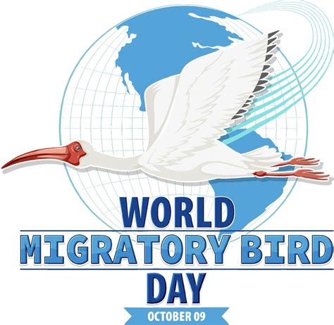 World Migratory Bird Day Banner Design 11132511 Vector Art At Vecteezy