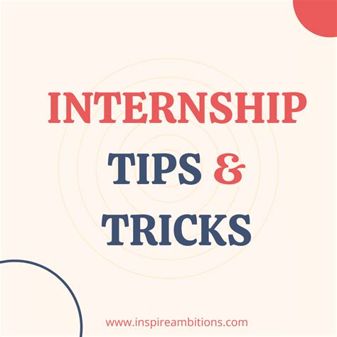 Internship Guide For Employers Crafting Successful Programs