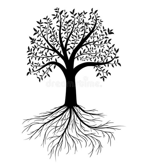 Tree Roots Silhouette Stock Vector Illustration Of Natural 24144210