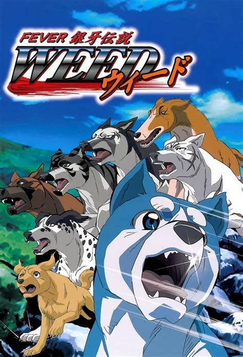 Ginga Densetsu Weed Tvmaze