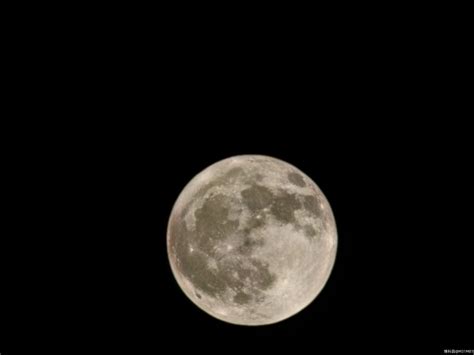 十五的月亮 博科园