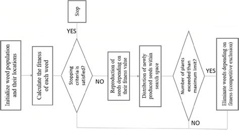 Flowchart Of Iwo Mehrabian And Lucas 2006 Download Scientific
