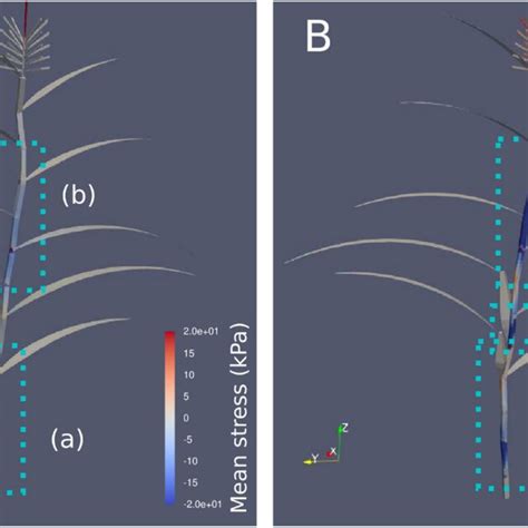 Eigenmodes Simulated By Finite Element Analysis Fundamental Modes And Download Scientific