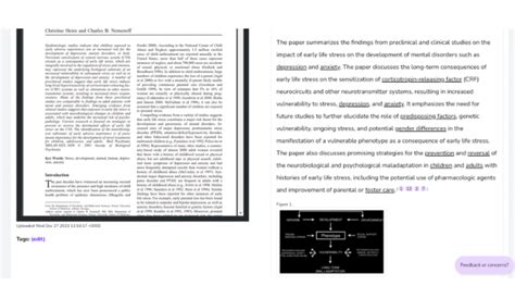 Best Ai Summarization Tools In 2024 Compared