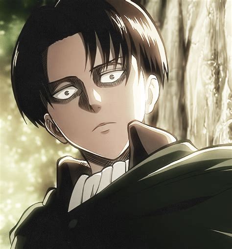 Kakashi Sensei Is Bae — The Signs As Levi Ackerman Aot S