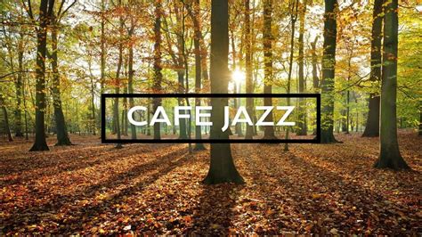 Cafe Jazz카페재즈잔잔한 음악 Youtube