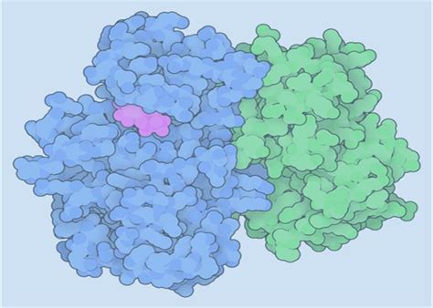 分子对接 四川魔德科技有限公司 分子对接 四川魔德科技有限公司