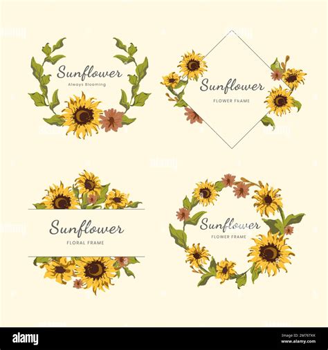 Sunflower Frame Badges Vector Set Stock Vector Image And Art Alamy
