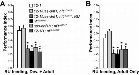 Nf1 Expression In Mushroom Body Neurons Only During Adulthood Rescues Download Scientific