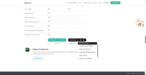 Python编程入门：优点、工具选择与学习策略 Csdn博客