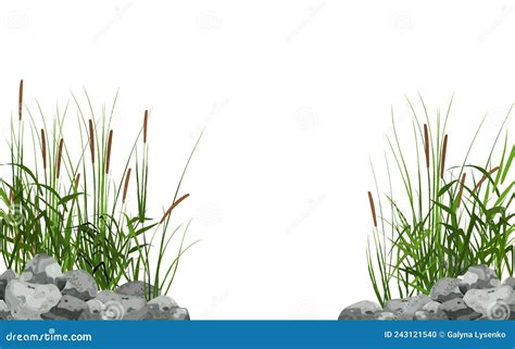 Hand Drawn Reed Or Pampas Grass Surrounded By Gray Stonescane