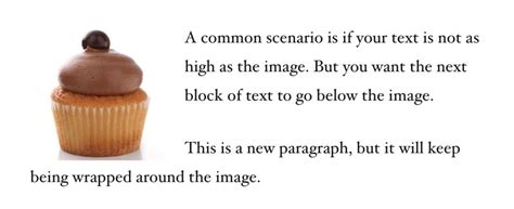 Wordpress Image Positioning Spacing And Alignment Web Training Wheels