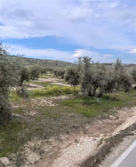 Fallece Una Trabajadora Agraria Atropellada Por Un Tractor En Peal De