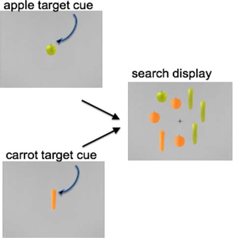 Figure 1 From The Effects Of Familiarity On Visual Search Performance Of Typically Developing