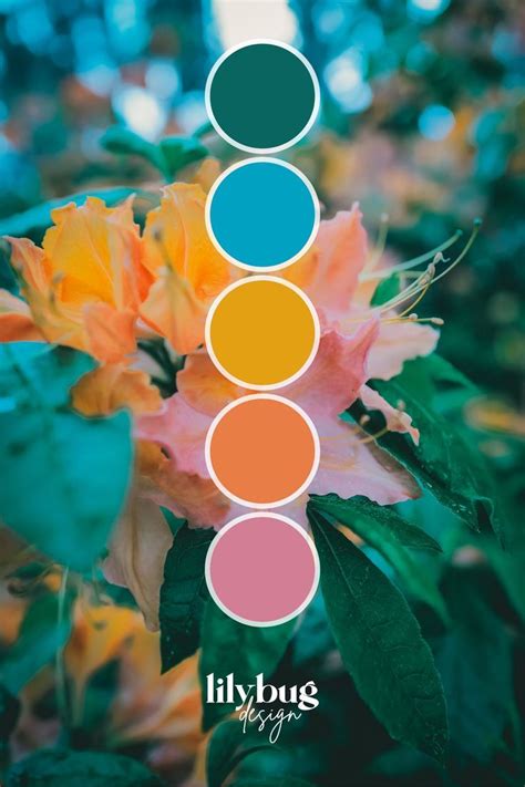 Colour Palette By Lilybug Design Etsy Store Nz