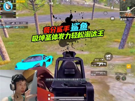 《鲨鱼制裁胖达未果训斥观众，吸坤圣体发力轻松淘汰王？》 鲨雕哟sdy 鲨雕哟sdy 哔哩哔哩视频