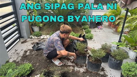ANG SIPAG PALA NI PUGONG BYAHERO YouTube