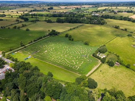 Turtle Maze Brain Teaser Challenges Eagle Eyed Viewers To Solve It In