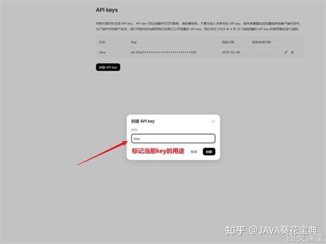 怎么用deepseek 编写程序代码开发软件？ 知乎