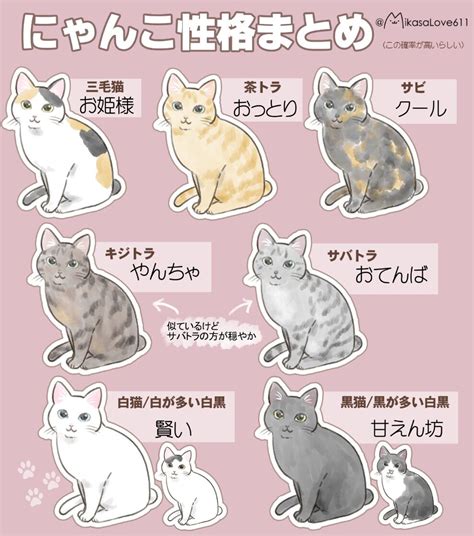 猫の柄別性格一覧｜ねこナビ