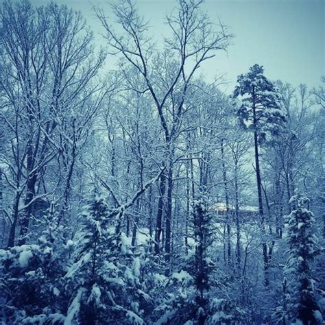 Stream Seasons Greetings Solo Double Bass Christmas Carols By Bryan