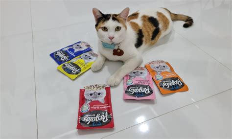อาหารแมว รีกาลอส Regalos สำหรับแมวอายุ 1ปีขึ้นไป Catty And Bunny Thaipick