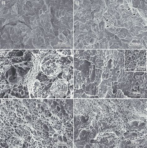 Fracture Surface Morphologies Of 225cr 1mo 025v Steel Tempered At 500