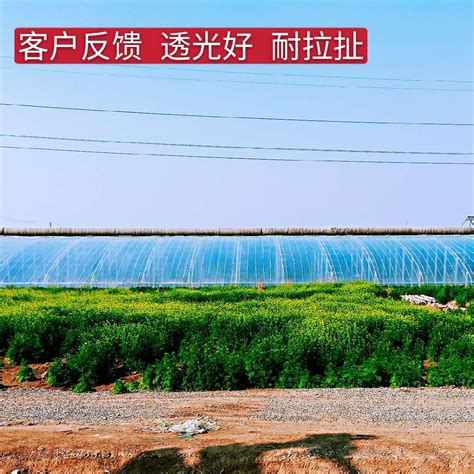 蔬菜大棚膜进口黑白膜塑料布棚膜加厚薄膜po膜养殖膜无滴膜 虎窝淘