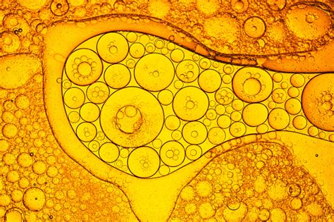 노란색 매크로 음료 거품 거품이 있는 사실적인 맥주 거품 차가운 음료와 함께 맥주 잔 바 디자인 옥토버 페스트 전단지의 배경 구에 대한 스톡 사진 및 기타 이미지 Istock