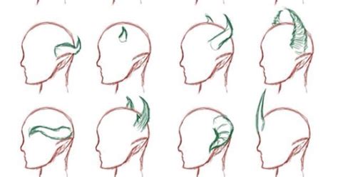 Horny Horn Horns Drawing Pinterest Horn Drawings And Art Reference