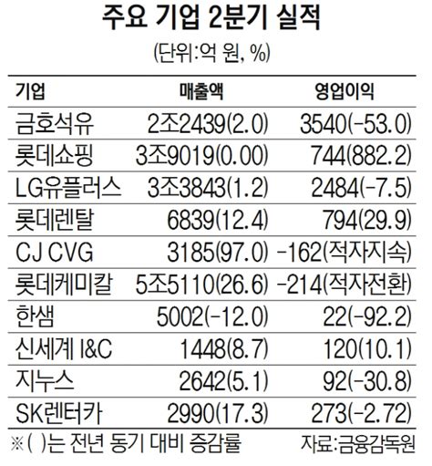 롯데케미칼 2분기 영업익 적자 전환 서울경제