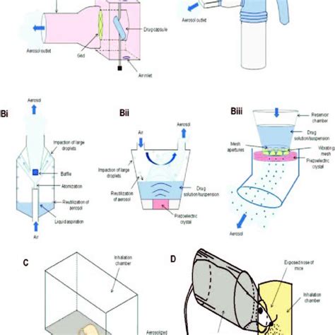 Schematic Illustration Of Lung Cancer Progression And Staging A