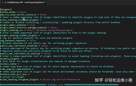 在grafana 添加阿里云日志 Sls 数据源 Grafana 查询阿里云日志 知乎