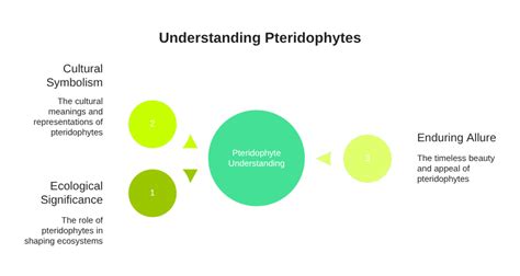 In Depth Sidmouth Nature