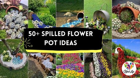 50 Spilled Flower Pot Ideas To Brighten Up Your Garden Landscape YouTube