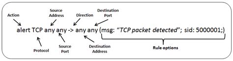 Snort Rule Example Download Scientific Diagram