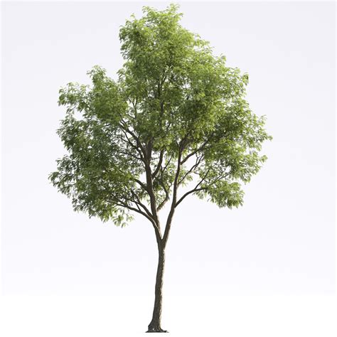 Archmodels Vol 250 3d Turbosquid 1744623