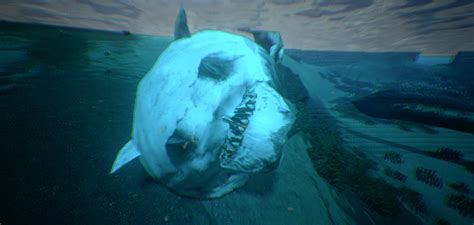 This Used To Be A Megalodon Rark