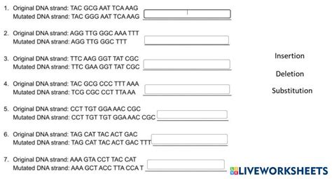 7353365 Mutation Practice Melissa Aguirre