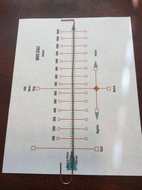 Bovis Scale Biometer Etsy