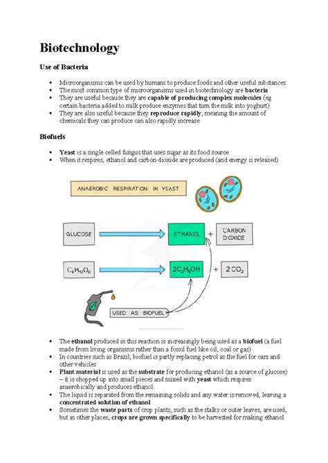 Biotechnology Notes 2024 Biology 4a1 Biotechnology Use Of Bacteria Microorganisms Can Be Used