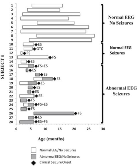 Summary Of Electroencephalography Eeg In Relation To Clinical Seizure