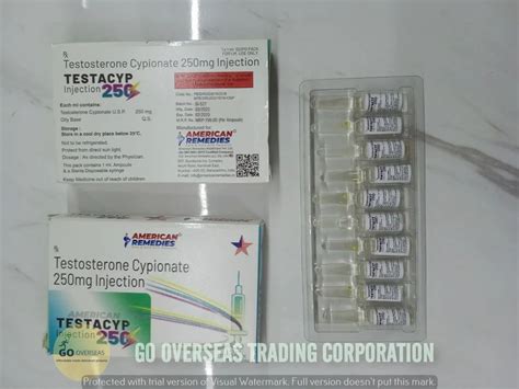 Liquid Testacyp Testosterone Injection Dose 250mg Packaging Size
