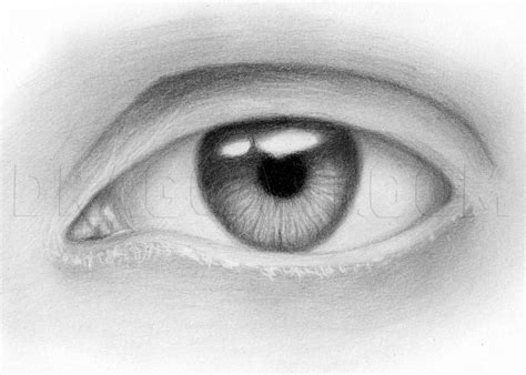 How To Sketch An Eye Step By Step Eyes People Free Online Drawing