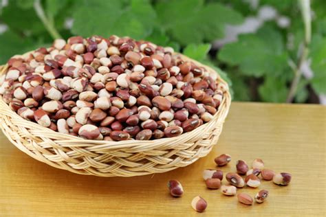 花豇豆摄影图片大全 花豇豆摄影设计素材 花豇豆摄影模板下载 花豇豆摄影图库 昵图网 soso nipic